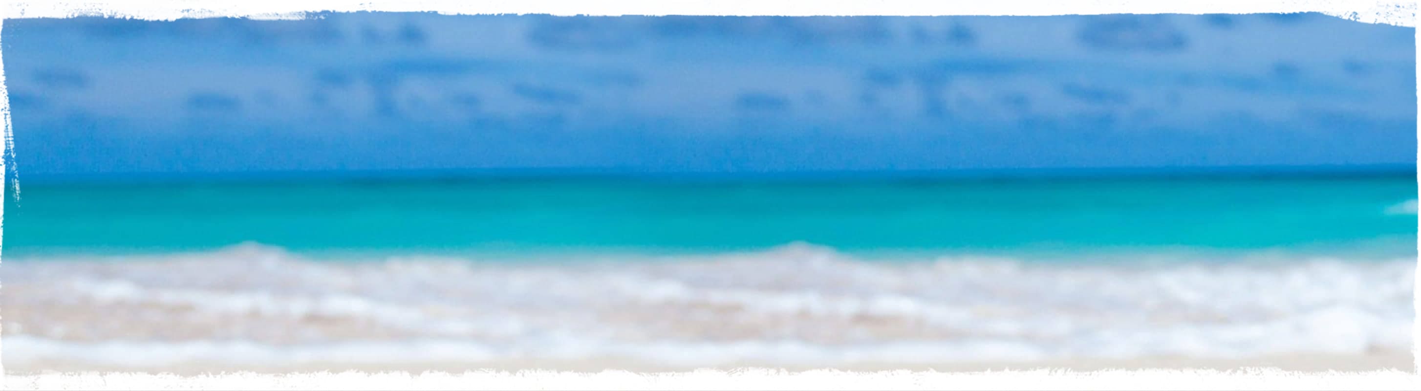 Enjoy Responsibly - Daily's Cocktails